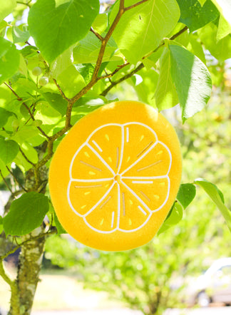 Citrus Slice Embroidered Beret! – clammy heart