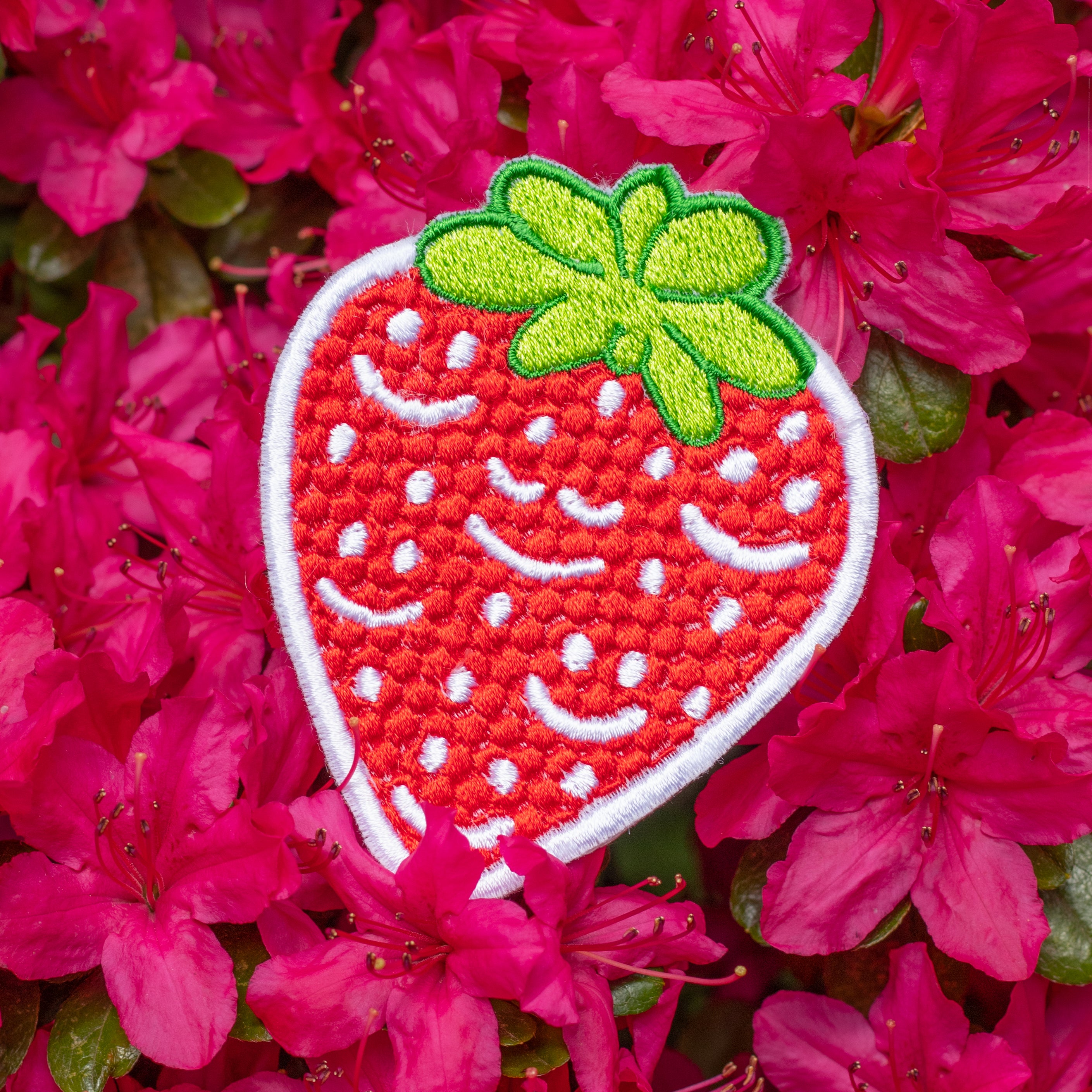 Smile Berry Embroidered Patch! – clammy heart