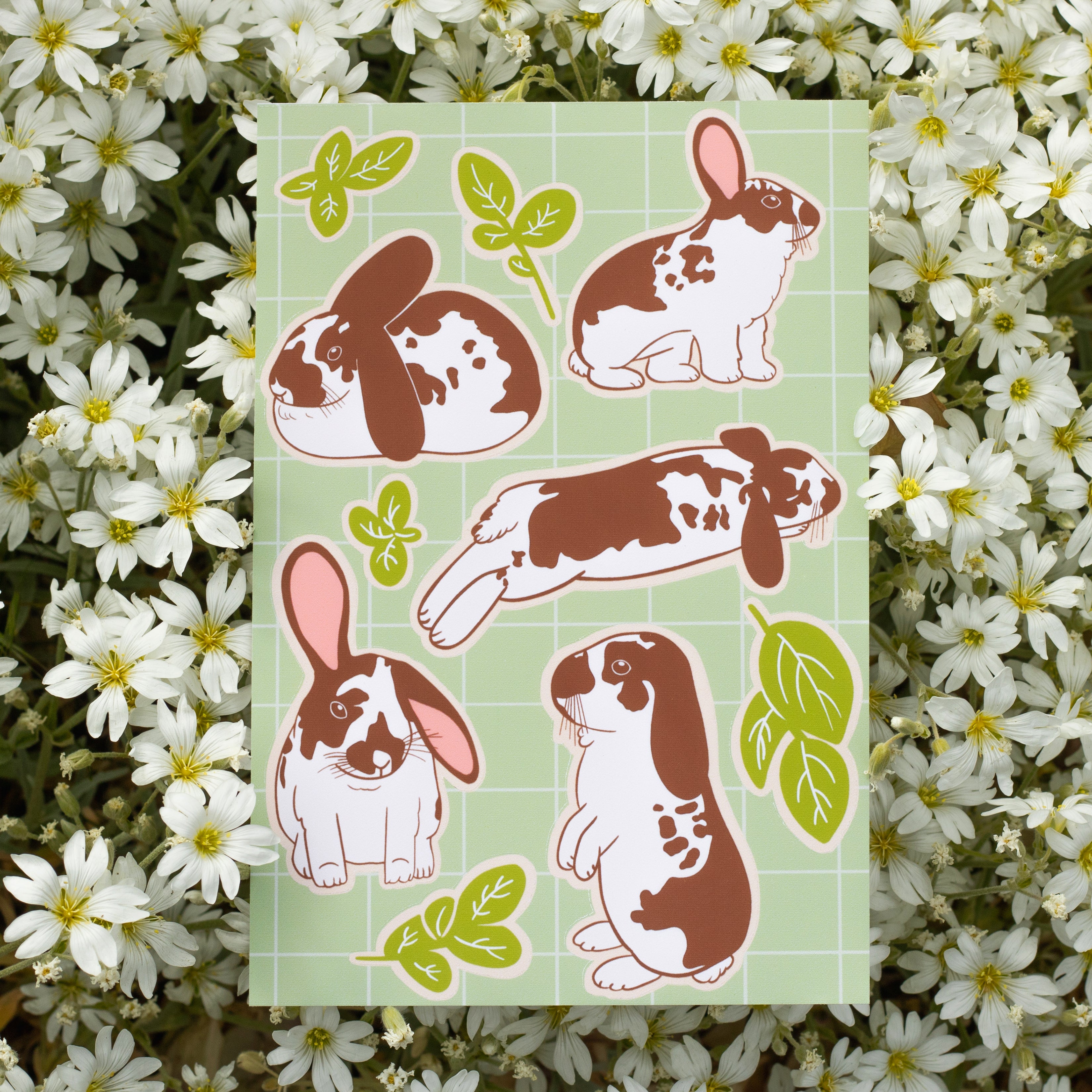 Products – clammy heart